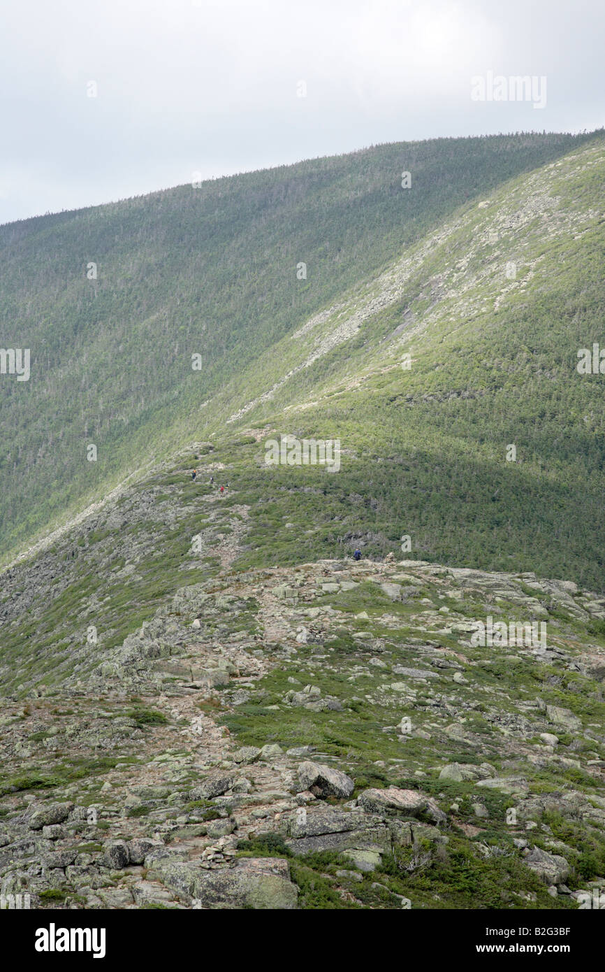 Bondcliff Trail towards Mount Bond during the summer months Located in ...