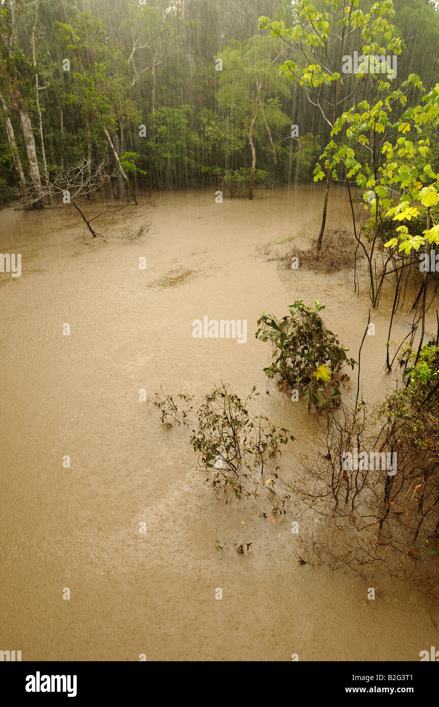Rain on Yavari River Amazon Rainforest Stock Photo - Alamy