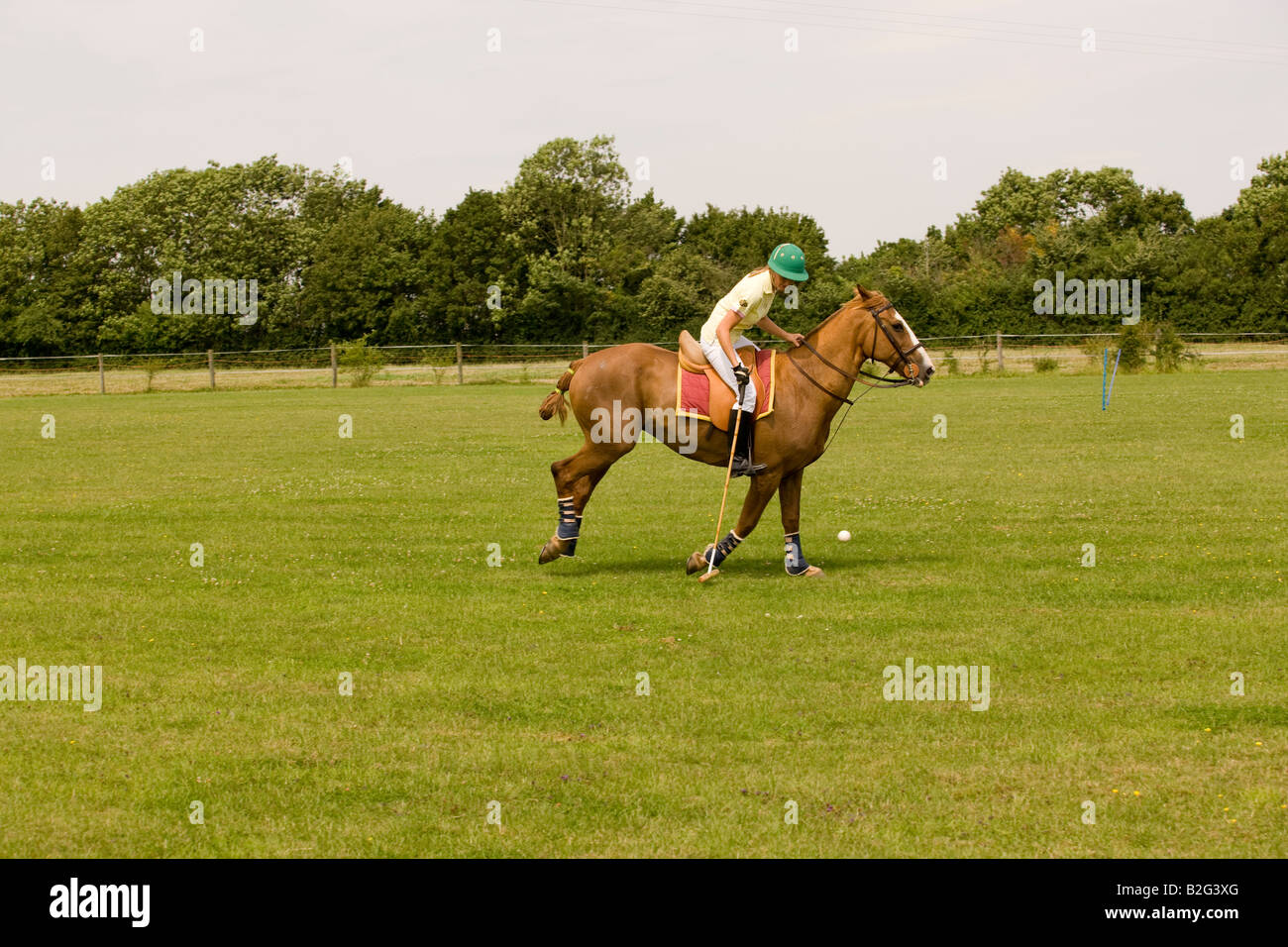 Polo swing hi-res stock photography and images - Alamy