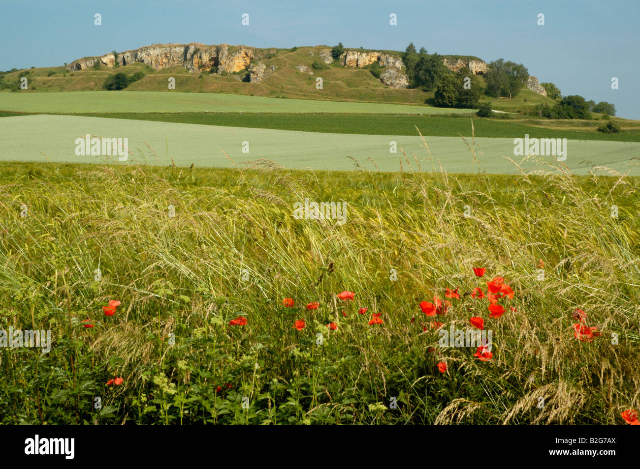 countryside agriculture conservation area grassland hayfield goldberg ...