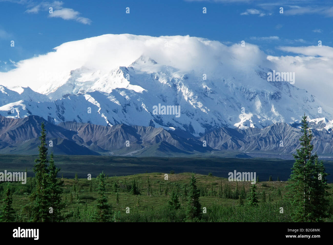 Denali Nationalpark High Resolution Stock Photography and Images - Alamy