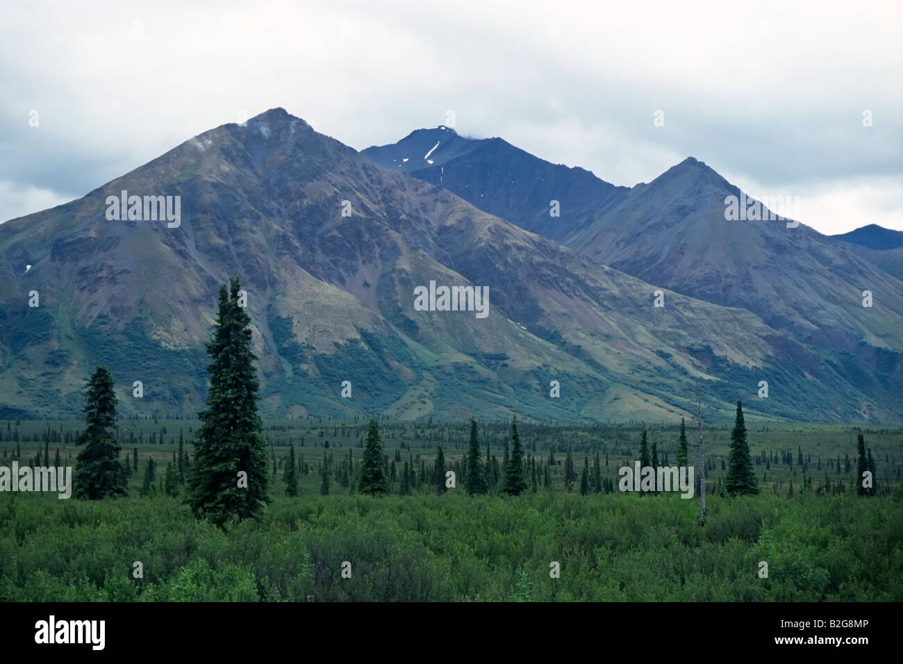 Denali Nationalpark High Resolution Stock Photography and Images - Alamy