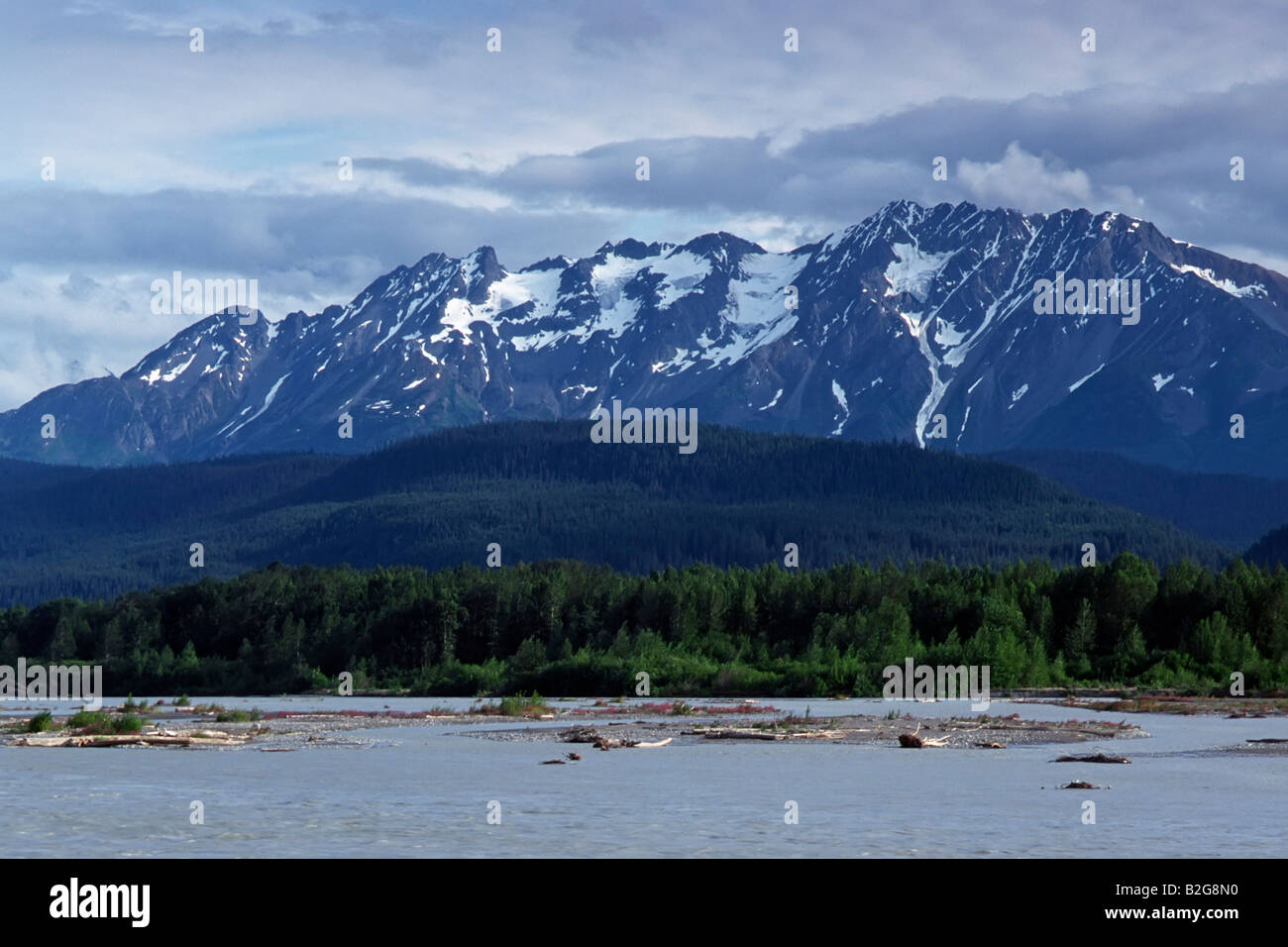 Chilkat bald eagle preserve hi-res stock photography and images - Alamy