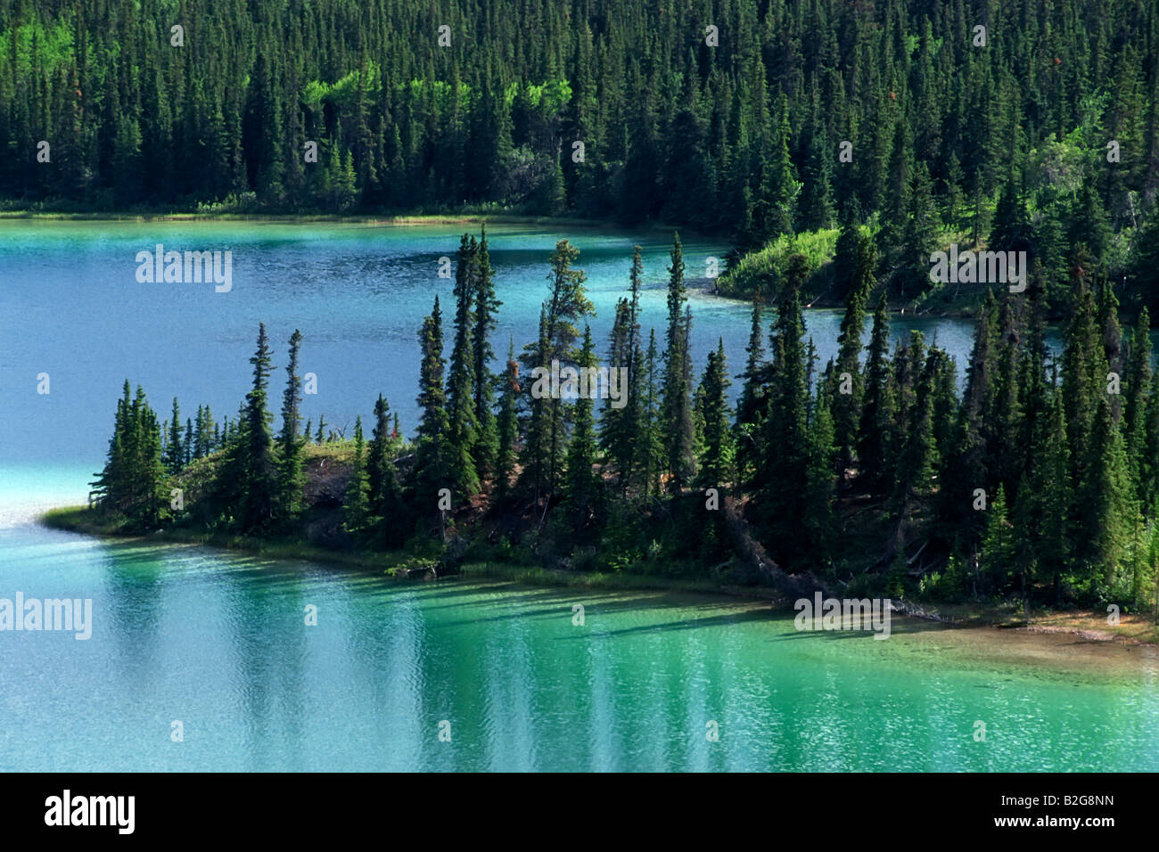 conifer forest nadelwald forest wald lake see emerald lake yukon canada ...