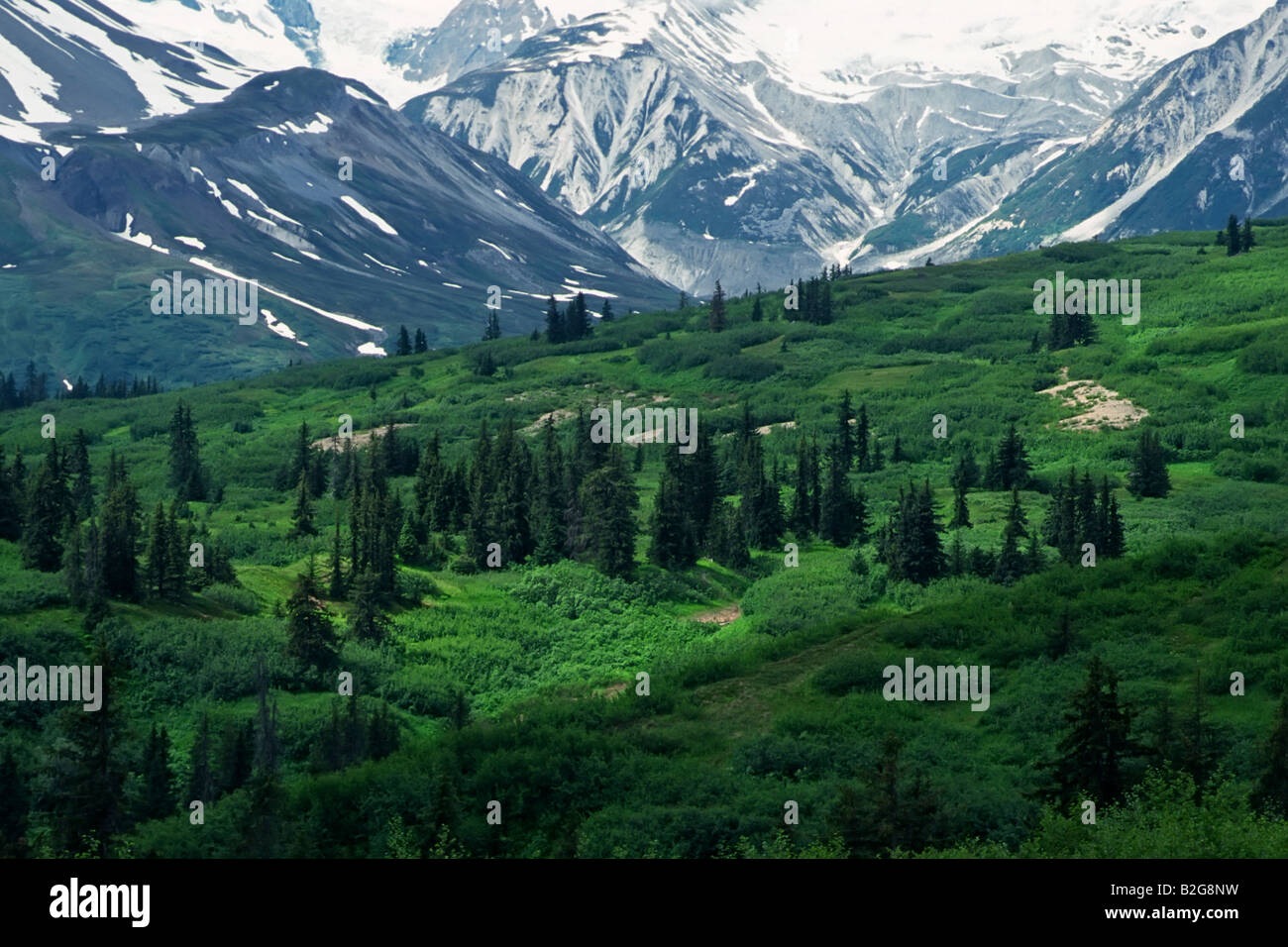 st elias mountains yukon canada mountain landscape mountain range Stock ...