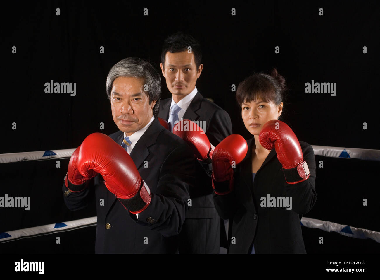 Two businessmen and a businesswoman in a boxing ring Stock Photo - Alamy