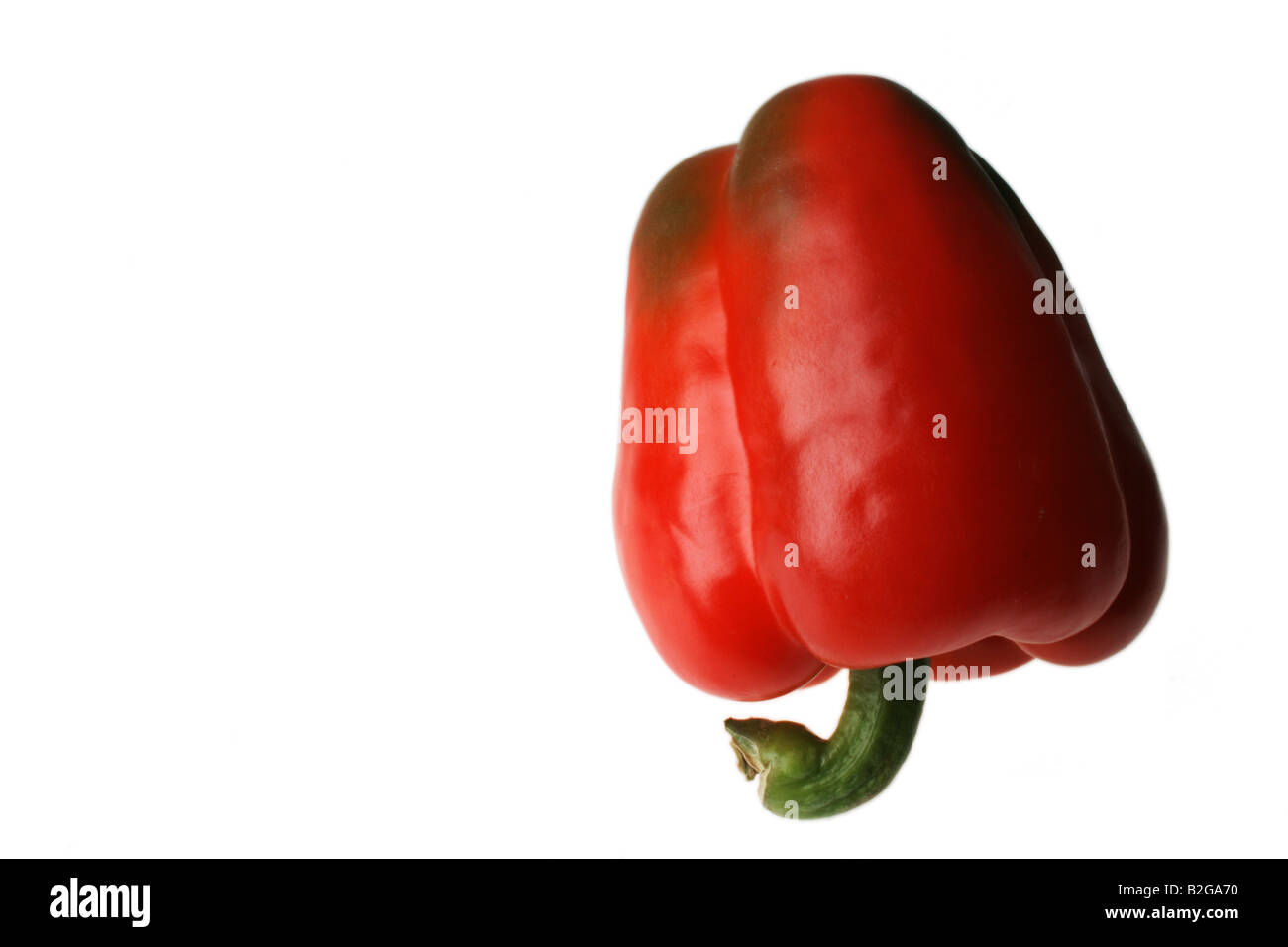 Red pepper on white background seen from the side Stock Photo - Alamy
