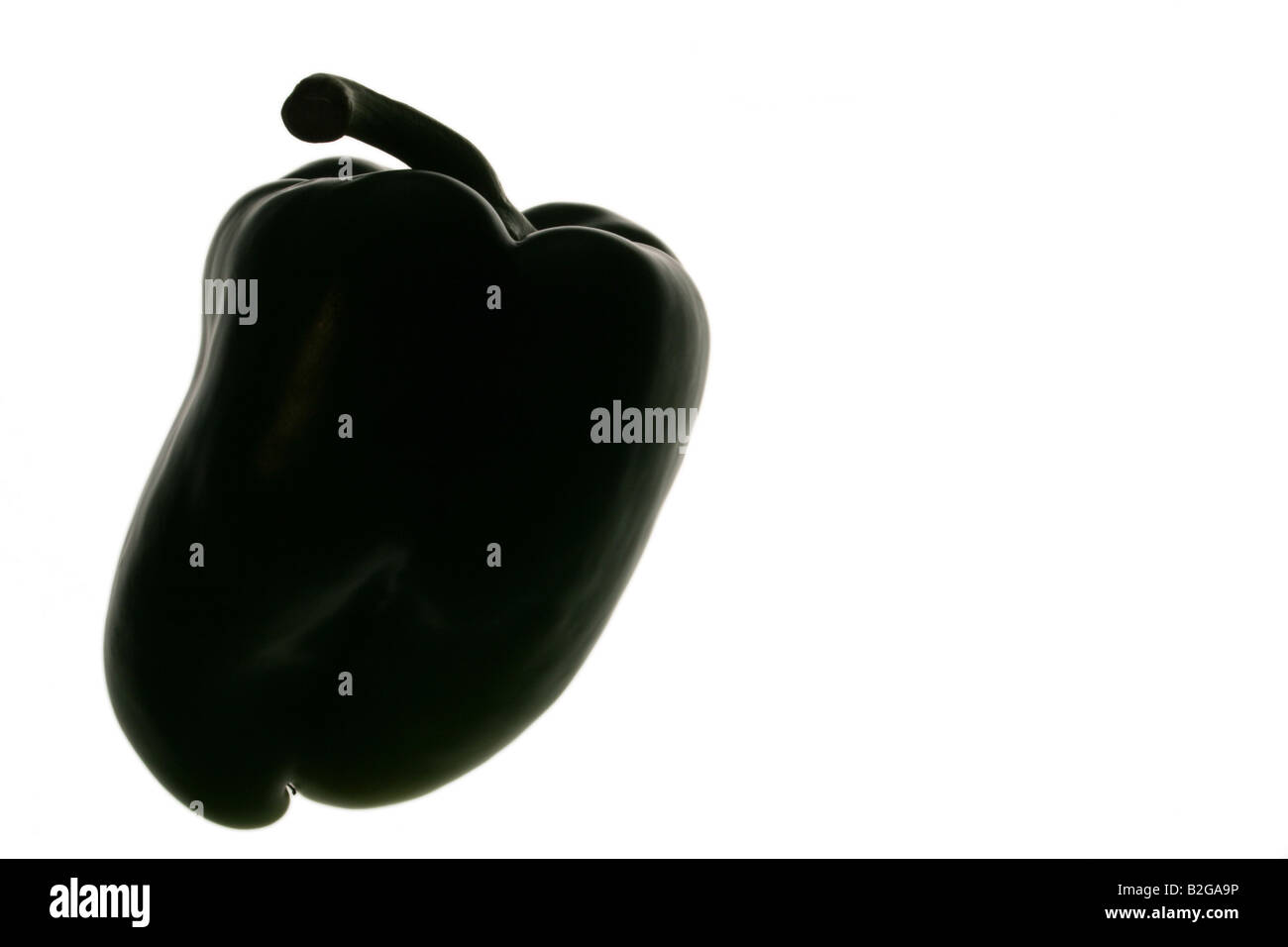 A pepper on white background, ambiguously shaped Stock Photo - Alamy
