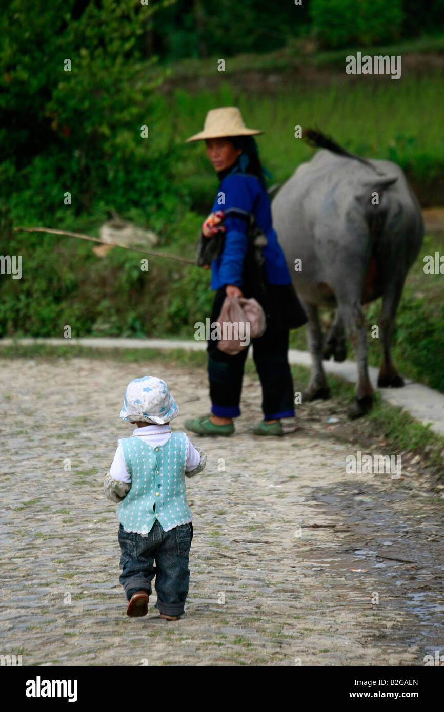 Qingkou village hi-res stock photography and images - Alamy