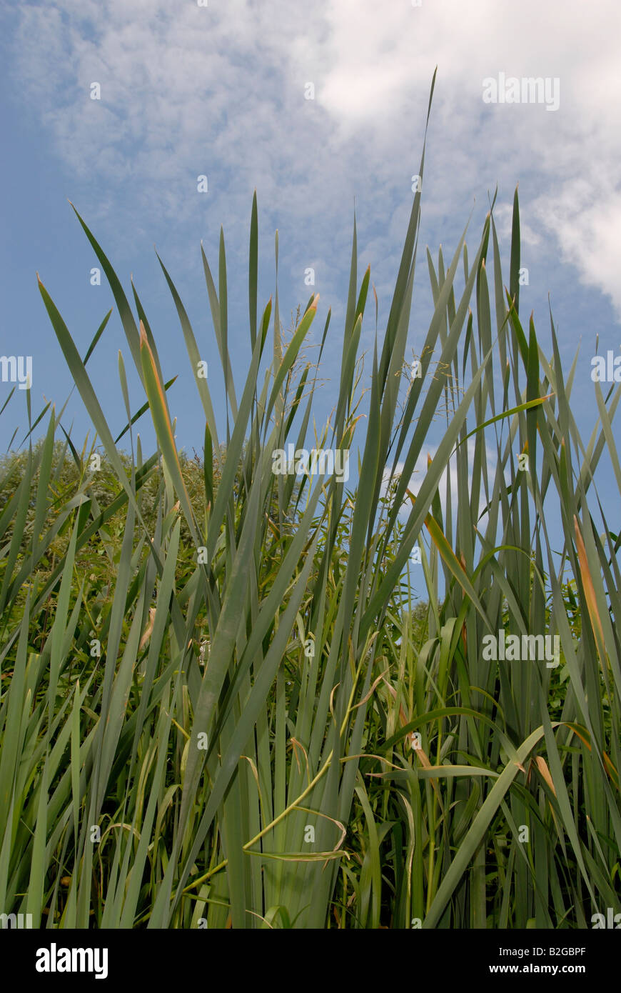 Penton hi-res stock photography and images - Alamy