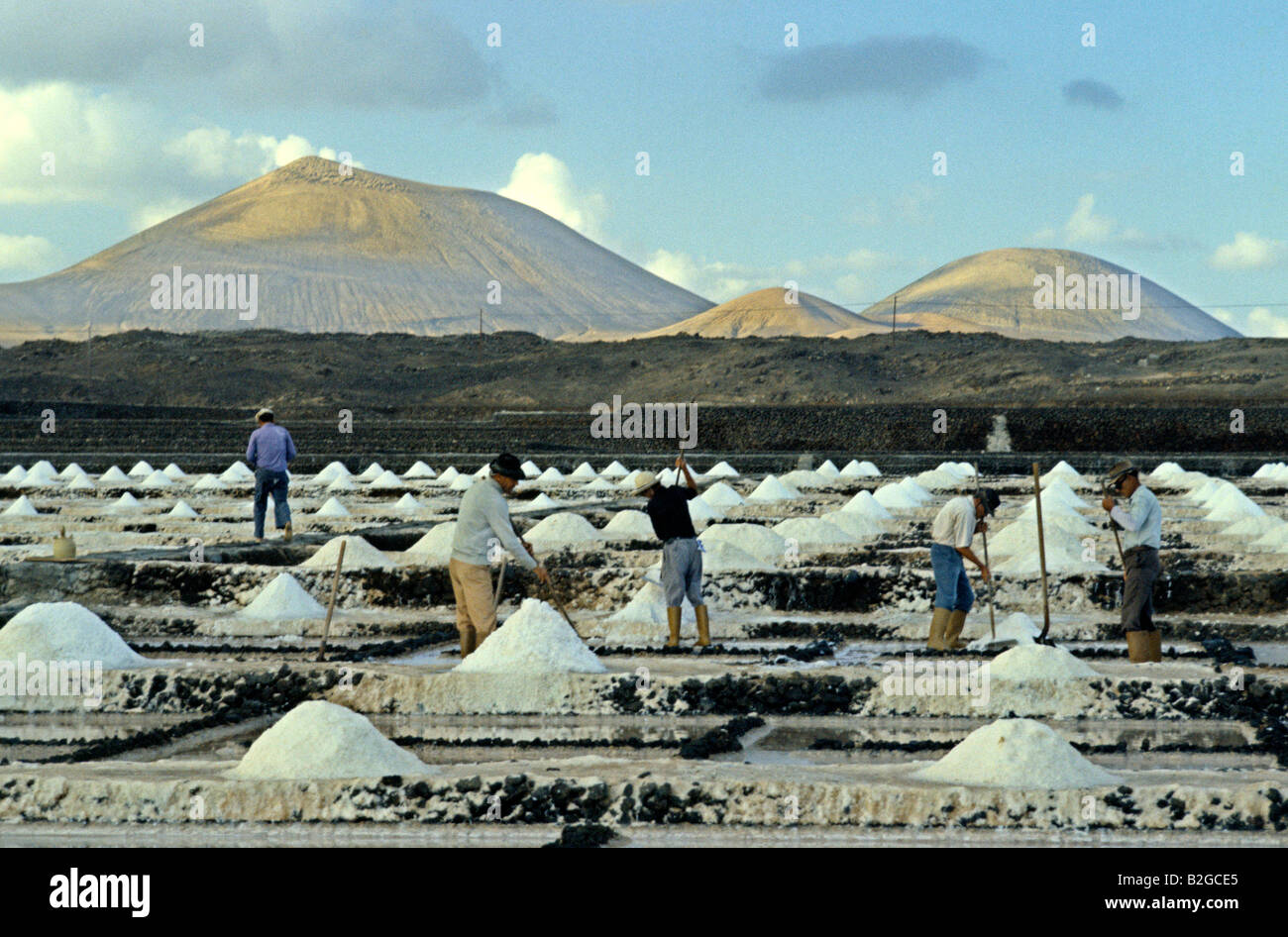 workers harvesting salt in desalination flats Stock Photo - Alamy