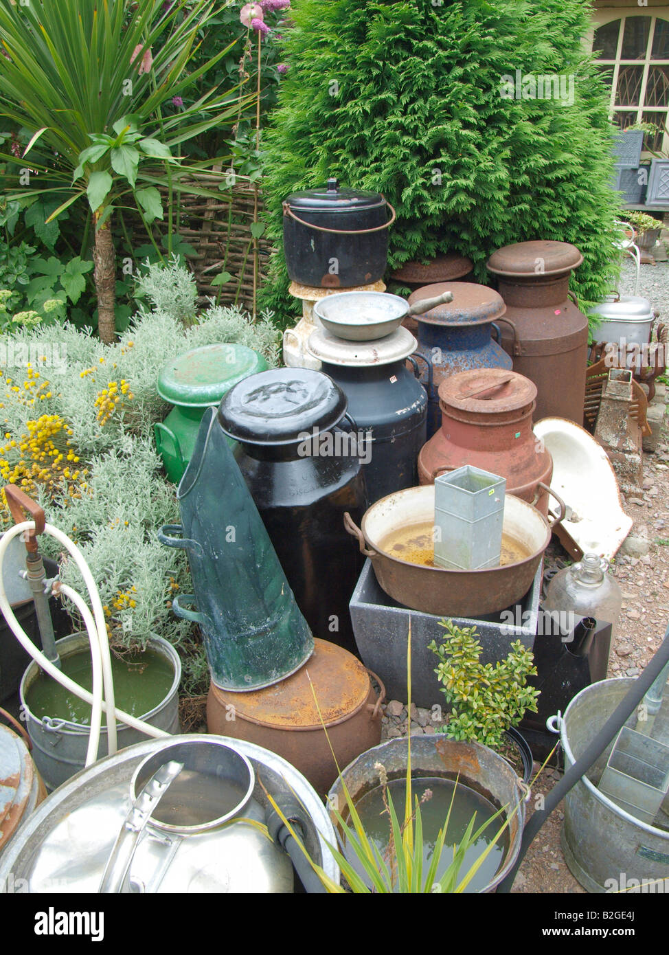 Reclamation plants hi-res stock photography and images - Alamy