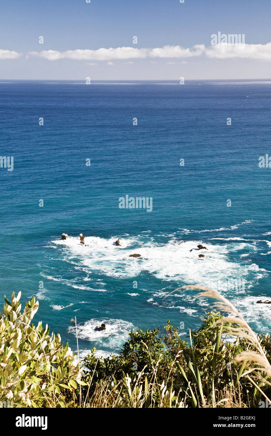 TASMAN SEA FROM KNIGHTS POINT LOOKOUT NEAR HAAST RIVER SOUTH ISLAND NEW ...