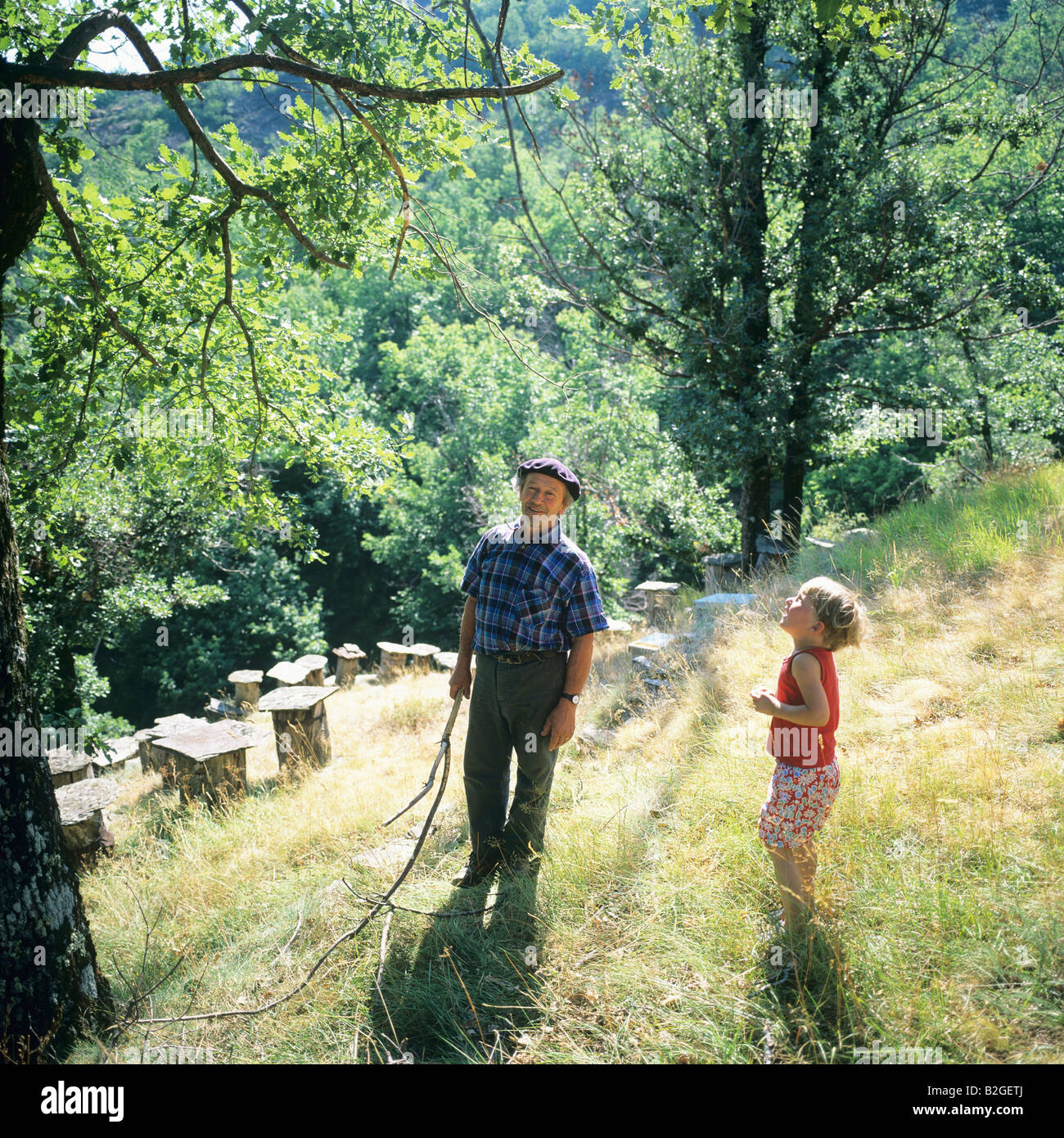 Man with little boy in chestnut tree grove and apiary in background ...