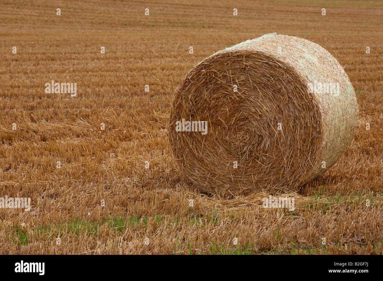 Straw bale hi-res stock photography and images - Alamy