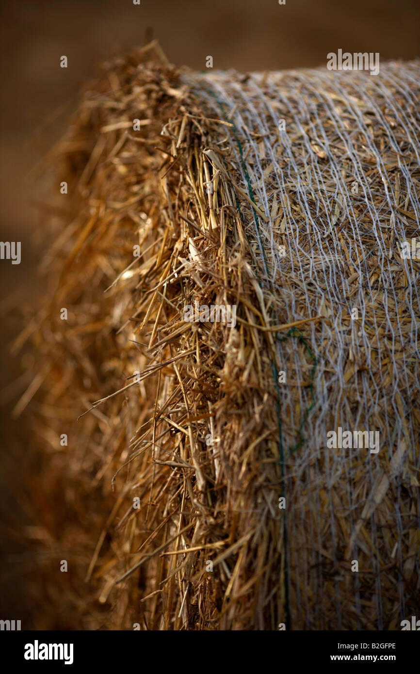 Straw bale texture hi-res stock photography and images - Alamy