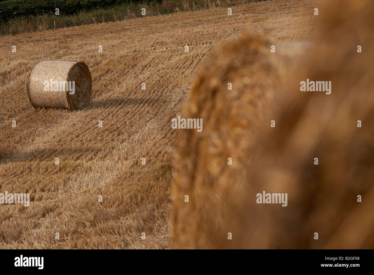 Field Fields Straw High Resolution Stock Photography and Images - Alamy