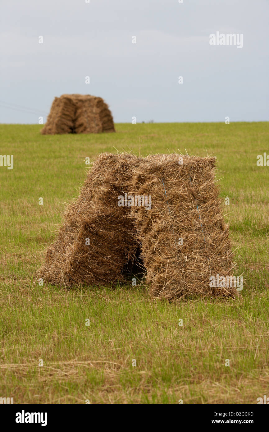 Drying Hay High Resolution Stock Photography and Images - Alamy