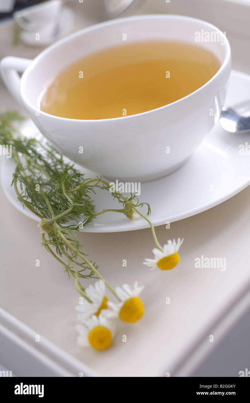 Cup of chamomile tea with sprigs of chamomile Stock Photo - Alamy