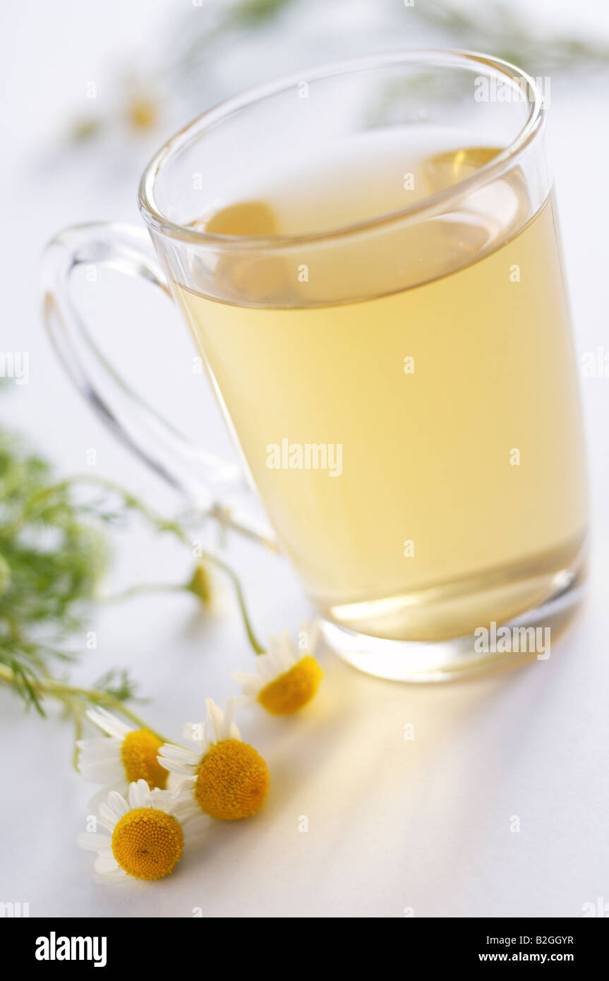 Cup chamomile tea hi-res stock photography and images - Alamy