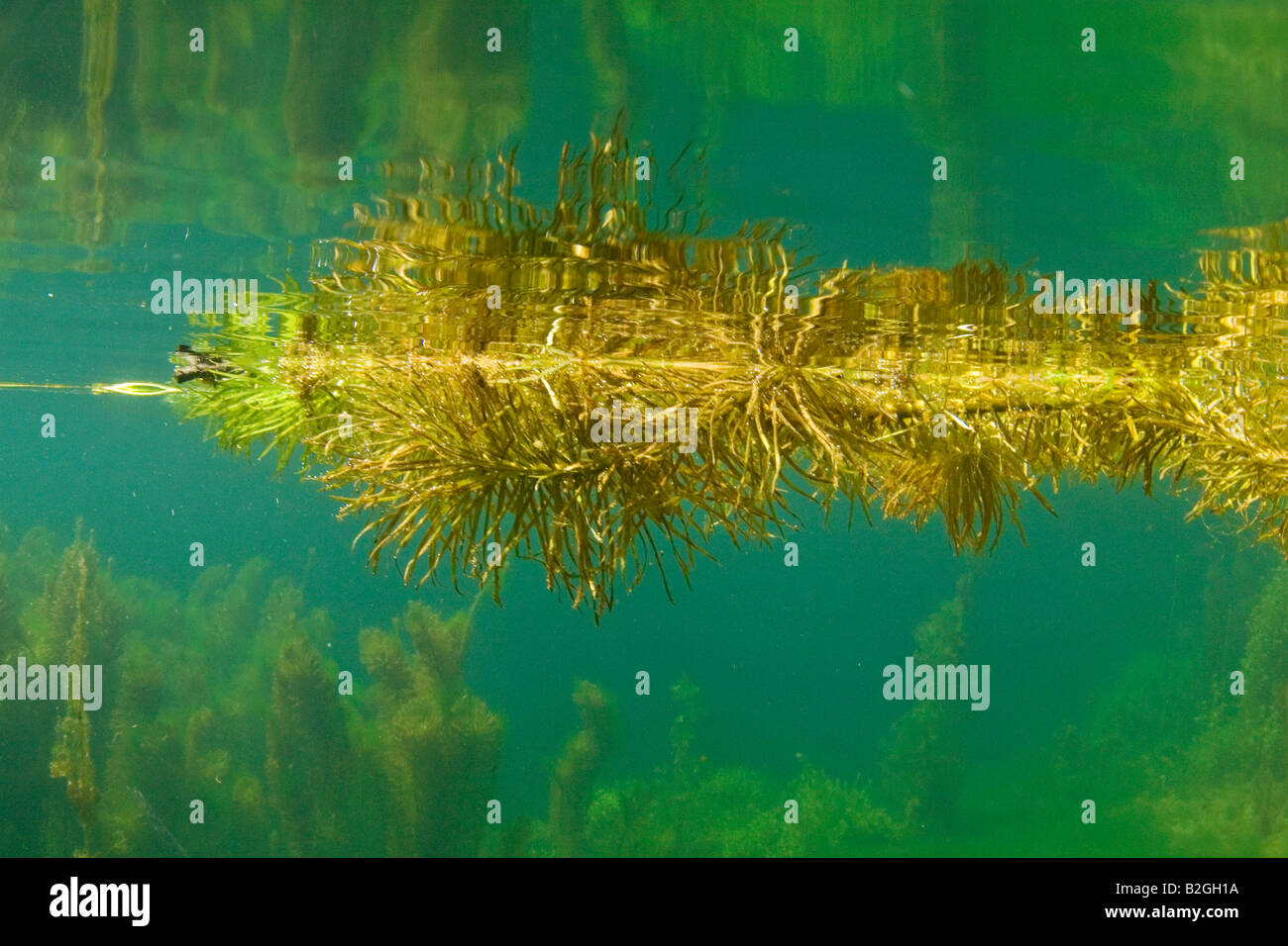 Submarine landscape hi-res stock photography and images - Alamy