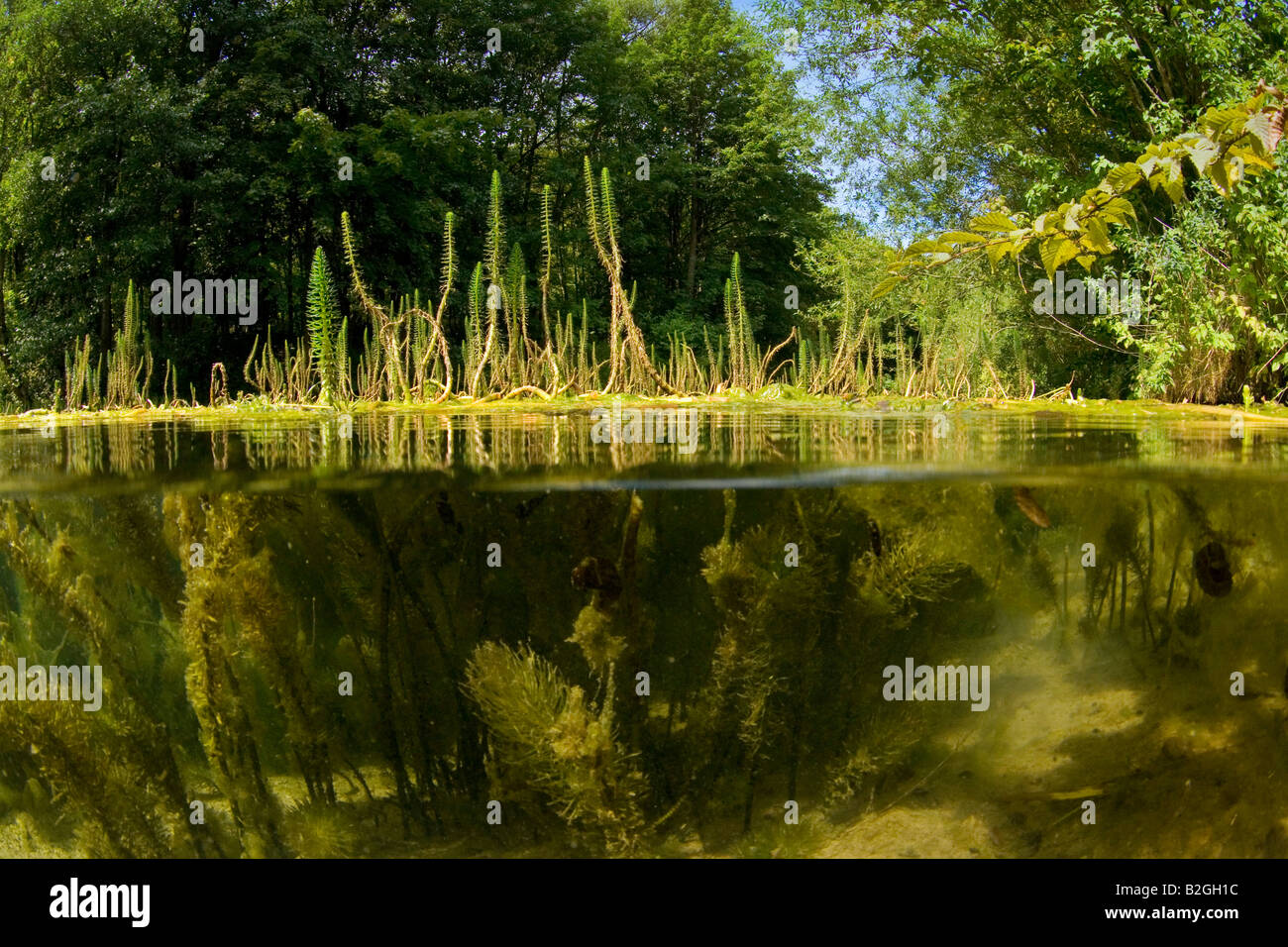 Submarine landscape hi-res stock photography and images - Alamy