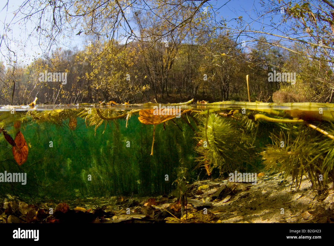 autumn autumn foliage landscape fall swabian alp germany Stock Photo ...