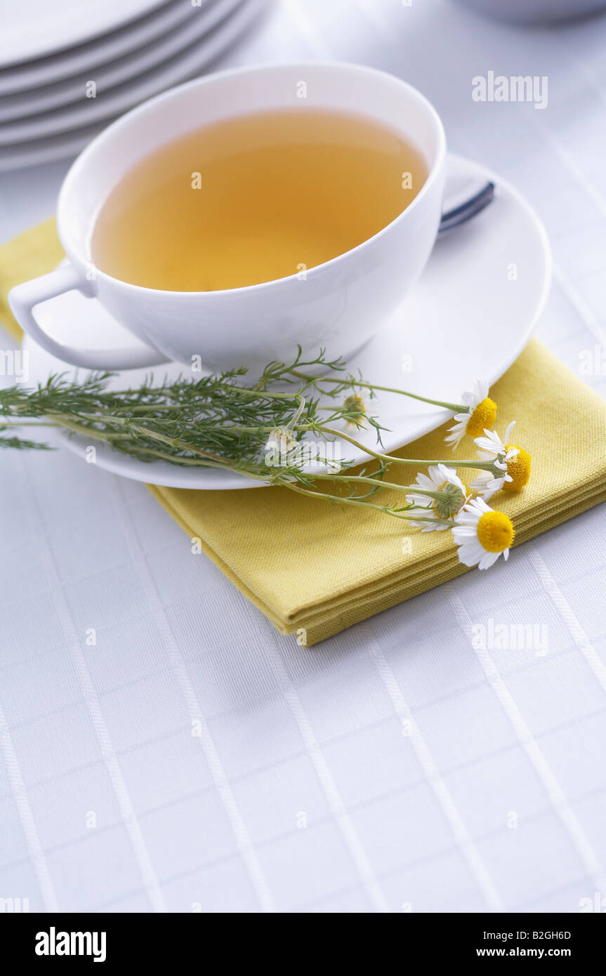 Cup of chamomile tea with sprigs of chamomile Stock Photo - Alamy