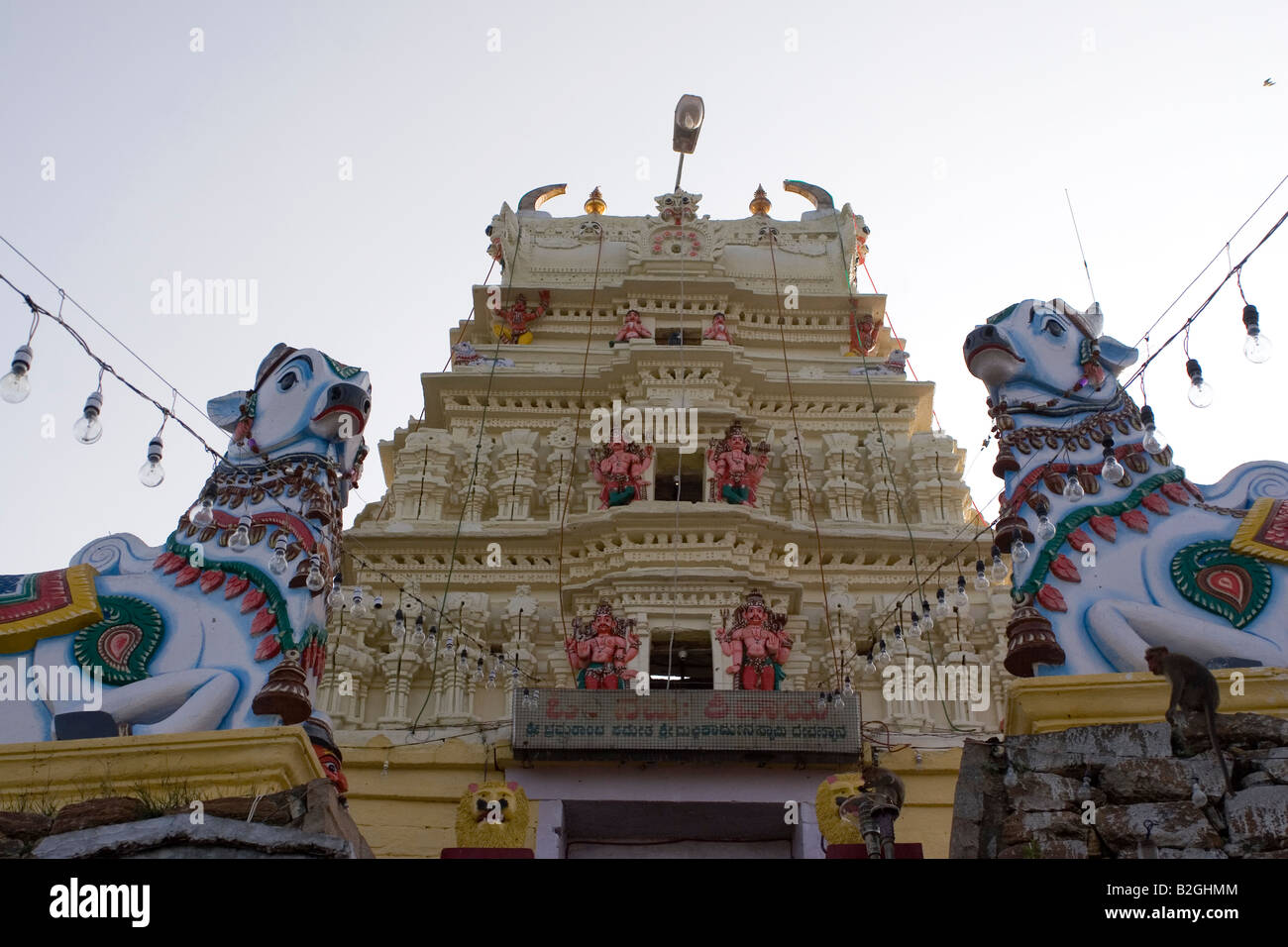 A Hindu temple in the Talakad District near to Mysore. Statues of Nandi ...