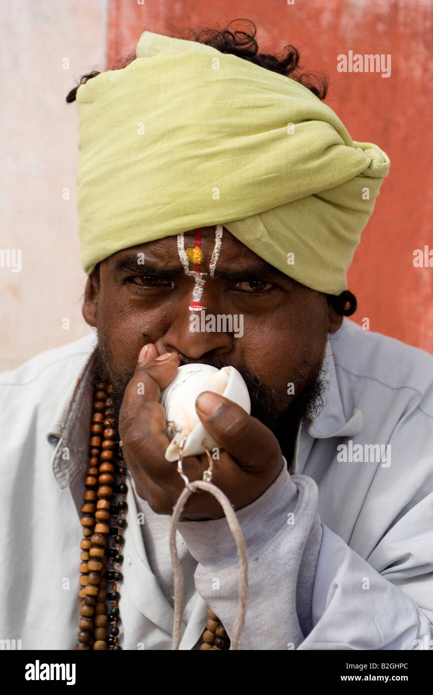Conch Shell India High Resolution Stock Photography and Images - Alamy