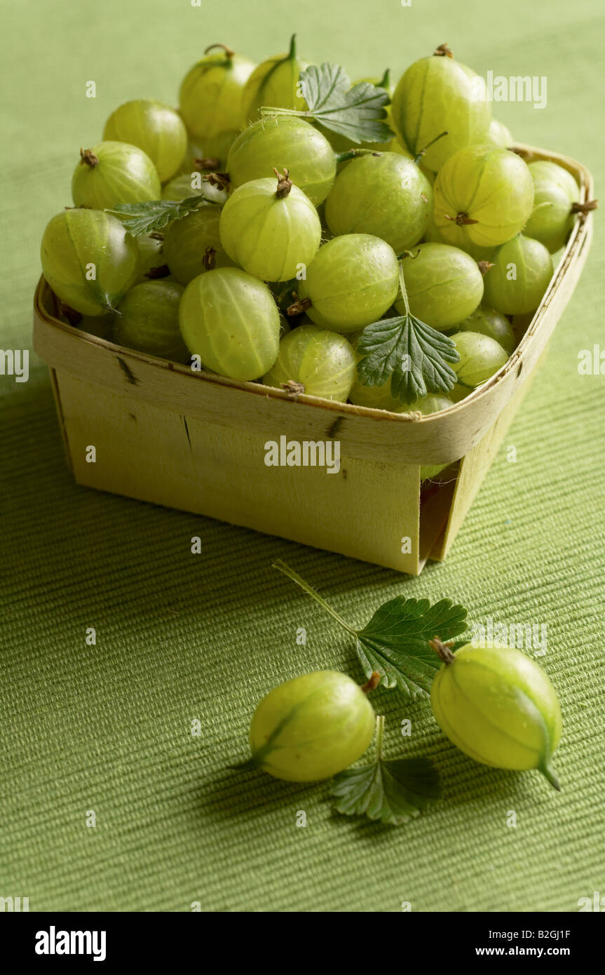 Punnet High Resolution Stock Photography and Images - Alamy