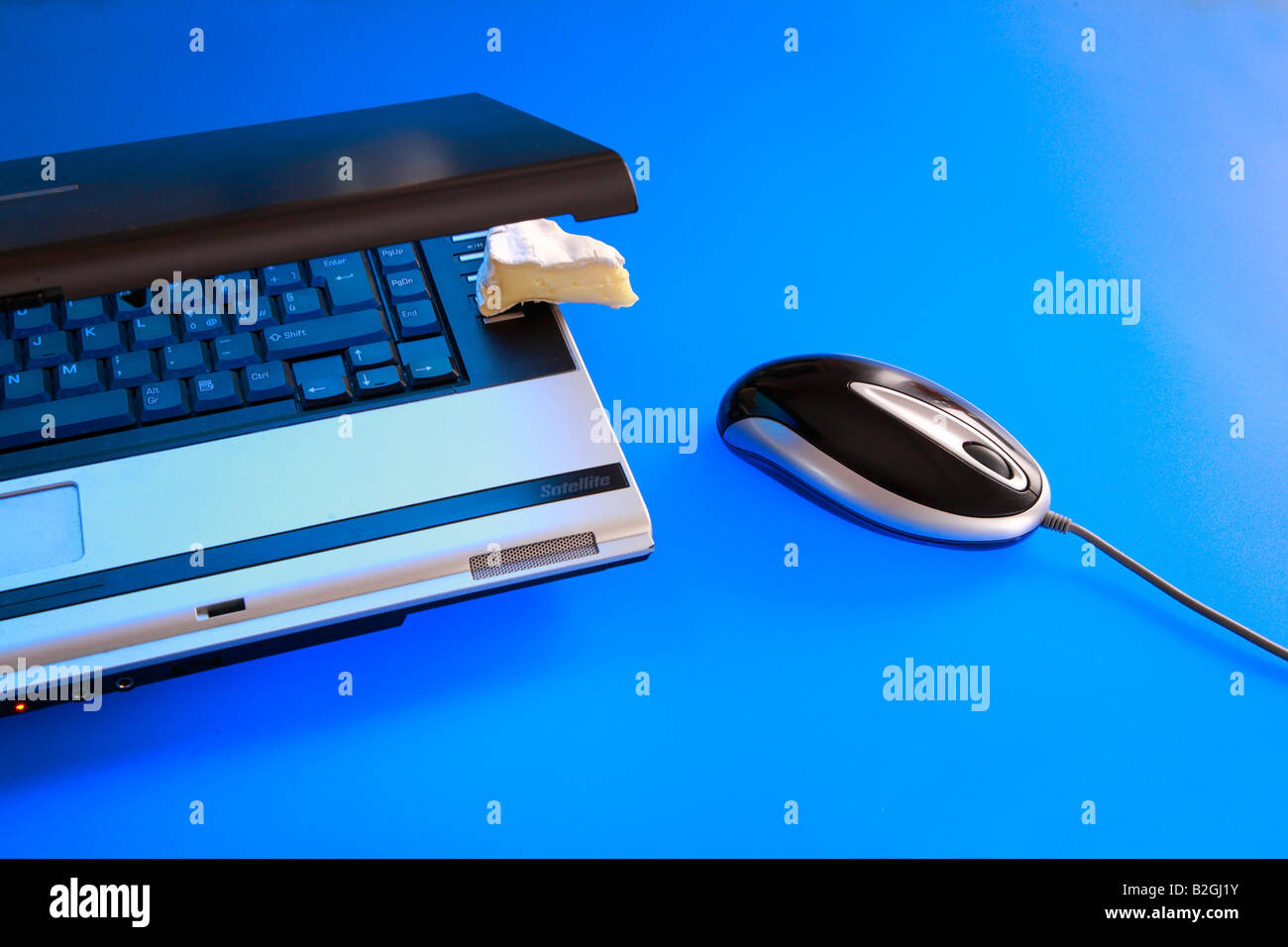 Computer trap hi-res stock photography and images - Alamy