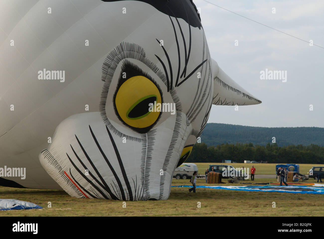 inflated hot air balloon cat head festival starting ground Stock Photo ...