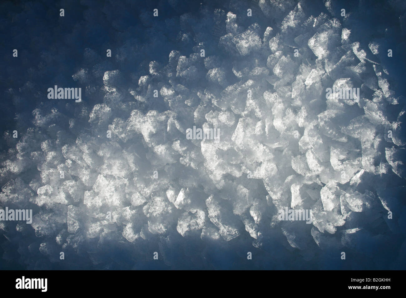 close up of snow flakes in sunshine Stock Photo - Alamy