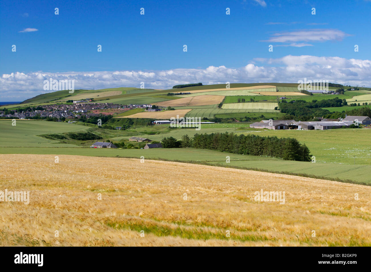 Inverbervie hi-res stock photography and images - Alamy