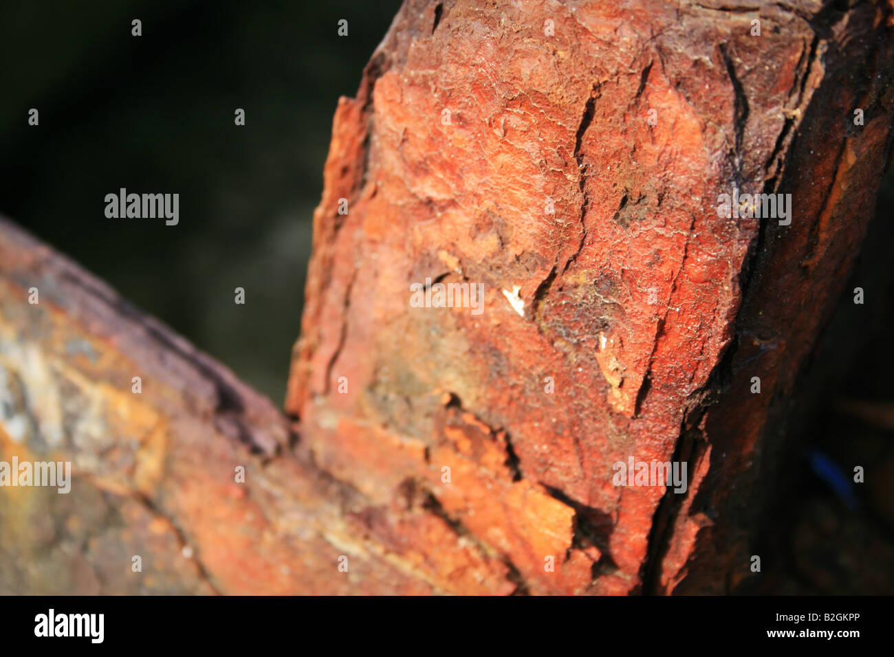 rusted metal railing detail Stock Photo - Alamy