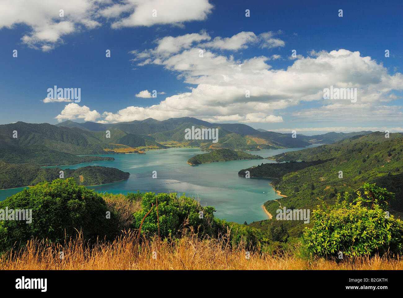mount Onahau Queen Charlotte Track Kenepuru Sound Marlborough Sounds np ...