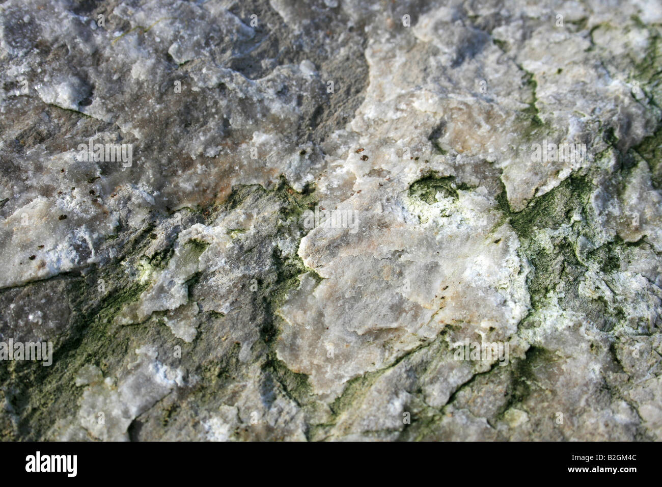 grey natural rock texture detail Stock Photo - Alamy