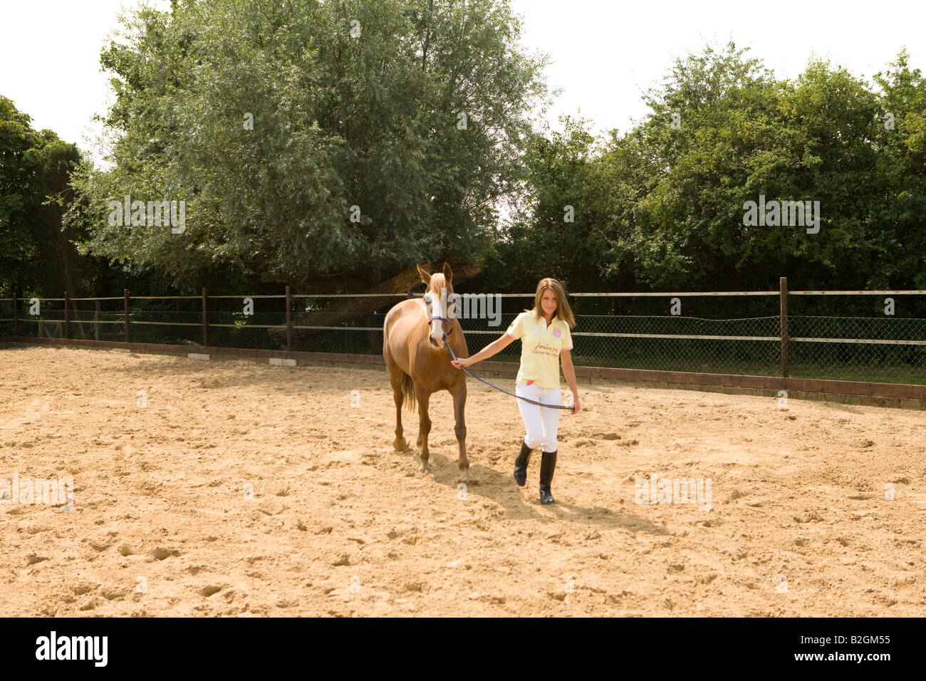 Chestnut walk hi-res stock photography and images - Alamy