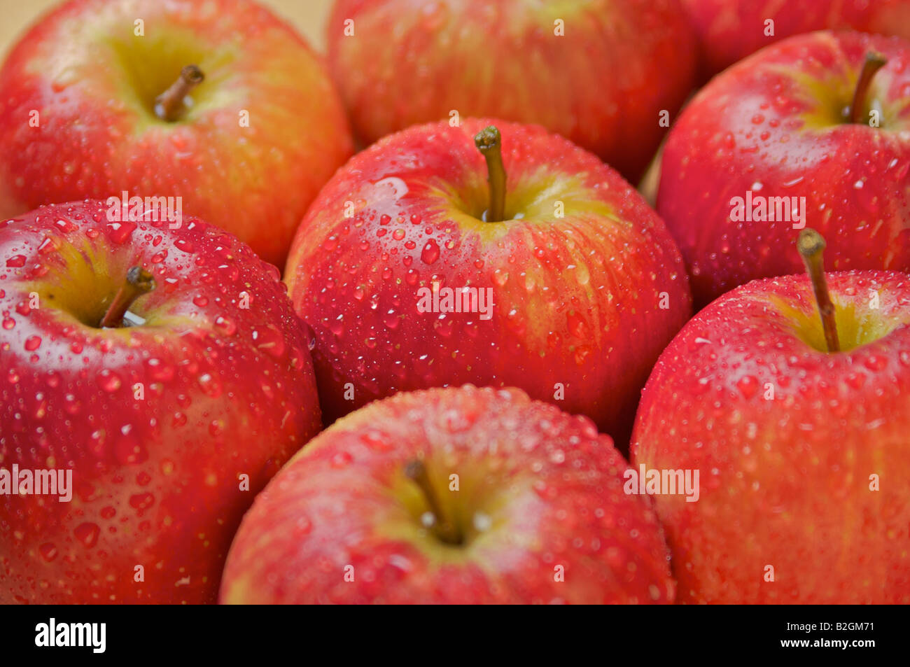 FRESH FRUIT APPLES Stock Photo - Alamy
