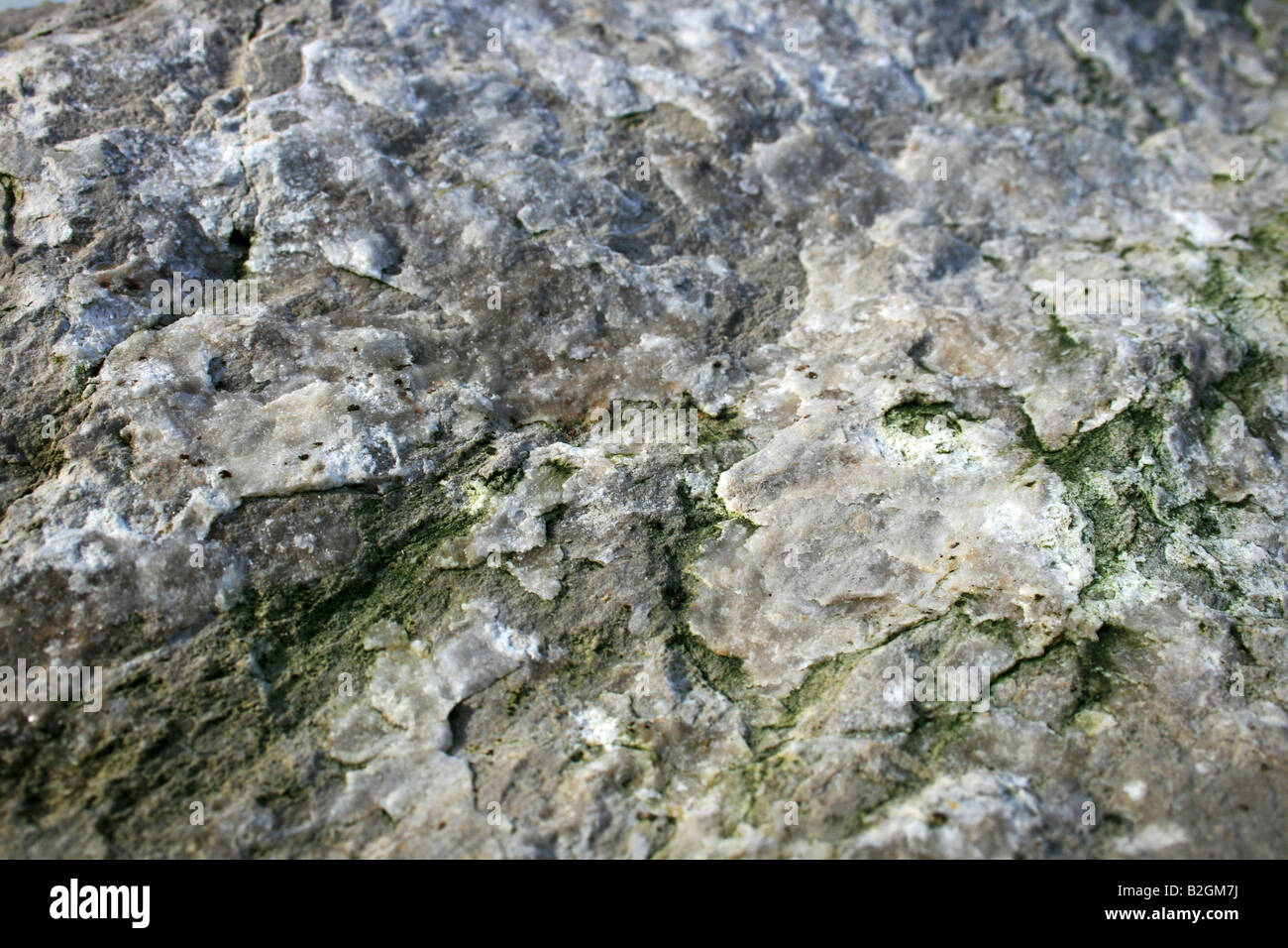grey rock texture detail Stock Photo - Alamy