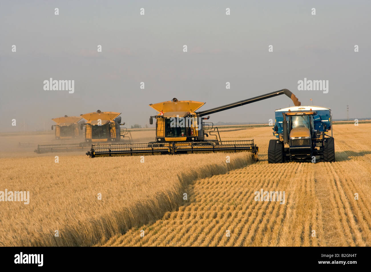 Trio combining wheat Stock Photo - Alamy