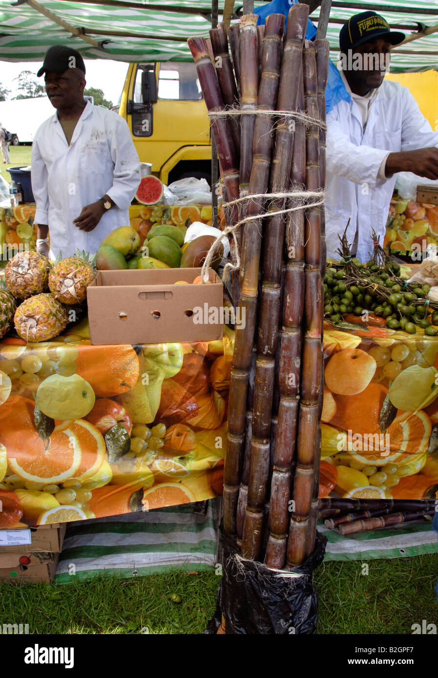 Stand of sugar cane hi-res stock photography and images - Alamy
