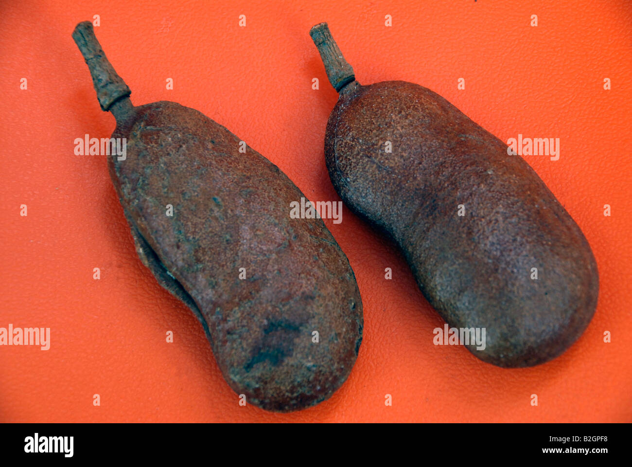 Exotic pods hi-res stock photography and images - Alamy