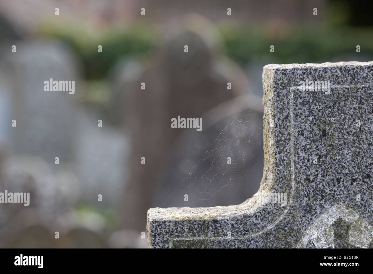 spiders web on old cross shaped old gravestones in the cemetary of ...