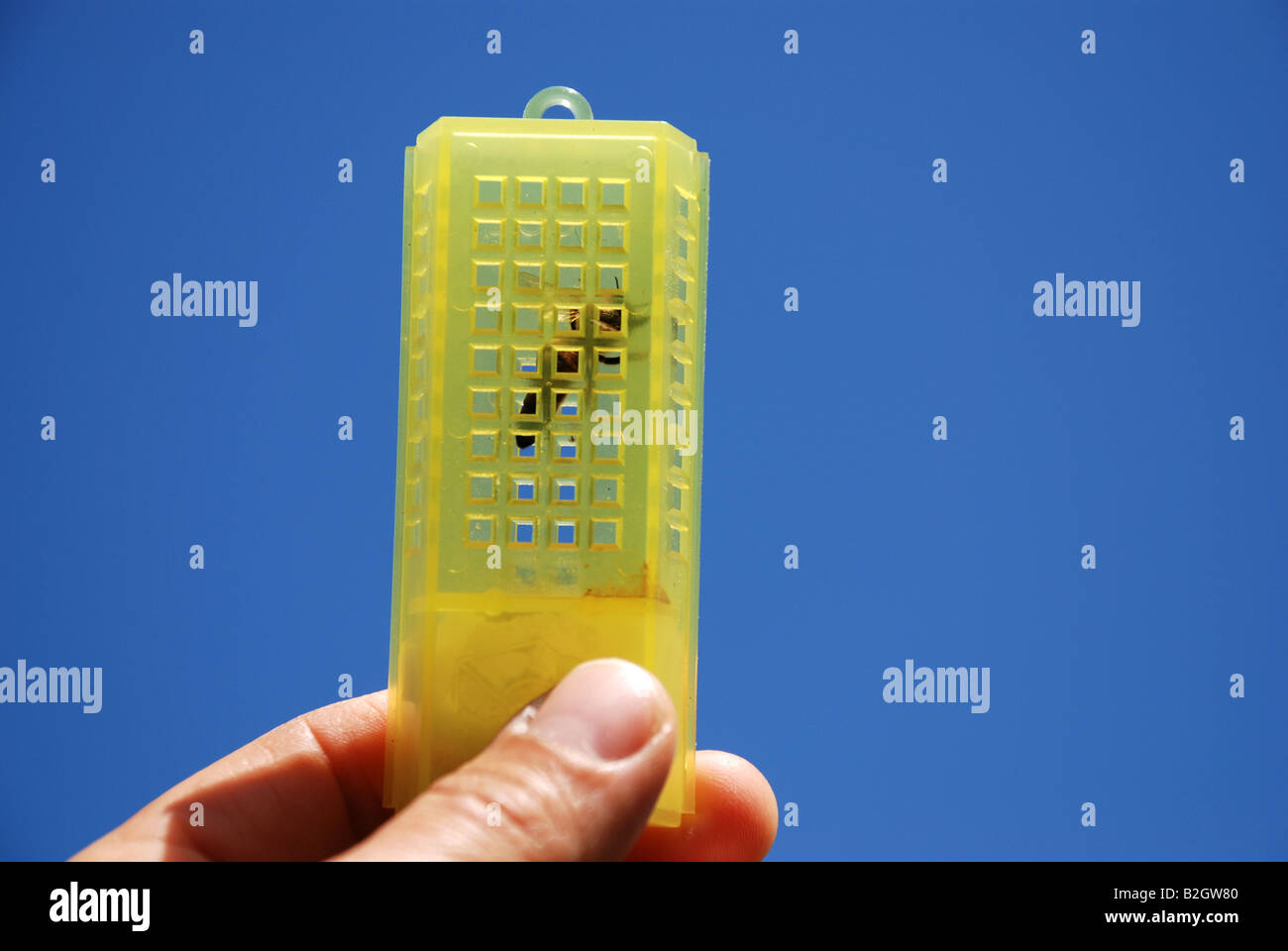 Queen cage hi-res stock photography and images - Alamy