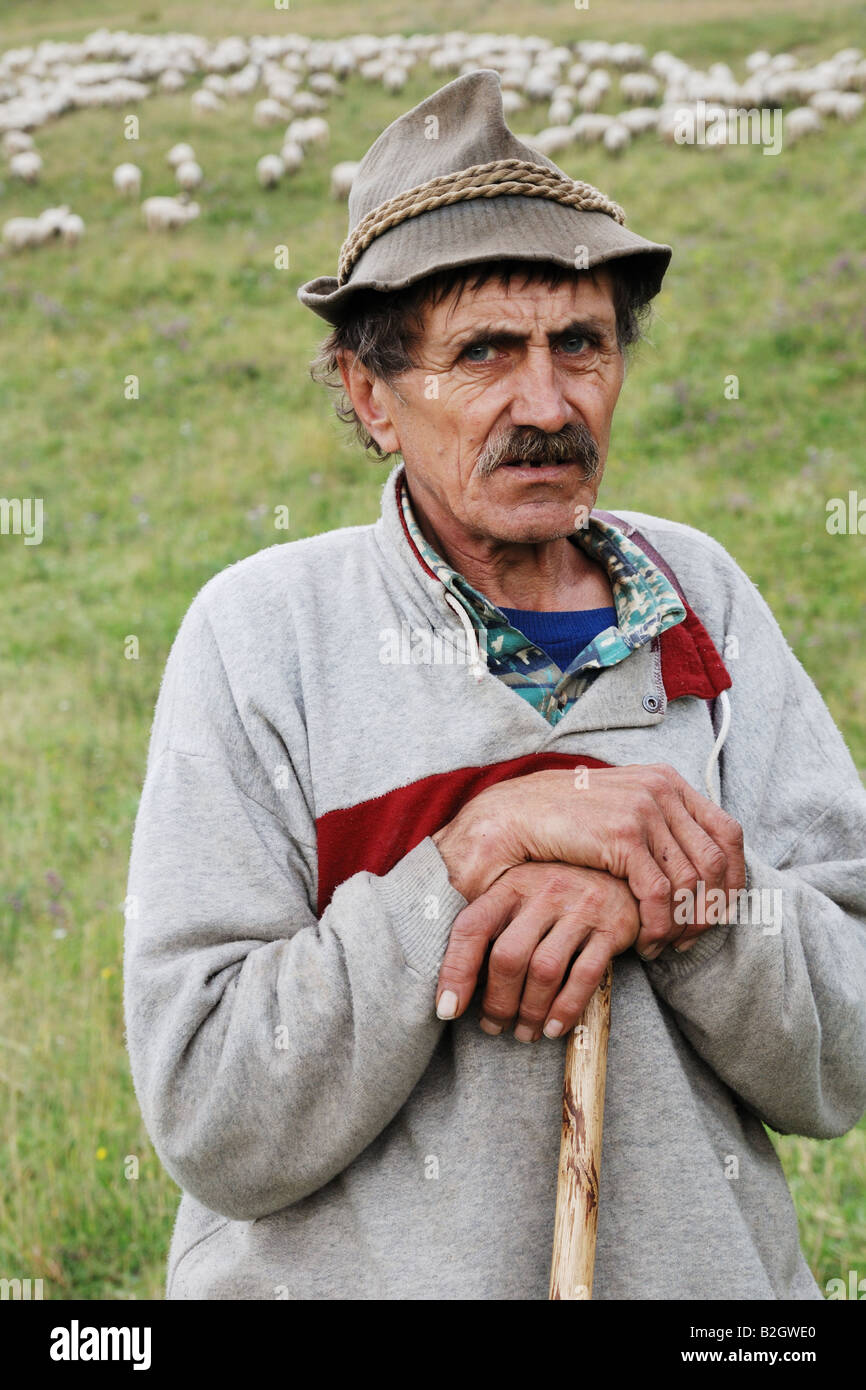 Portrait of mature sheperd man with grass and sheeps in background ...