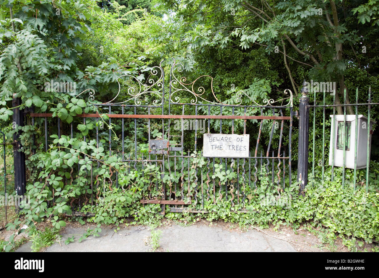 Railings trees hi-res stock photography and images - Alamy