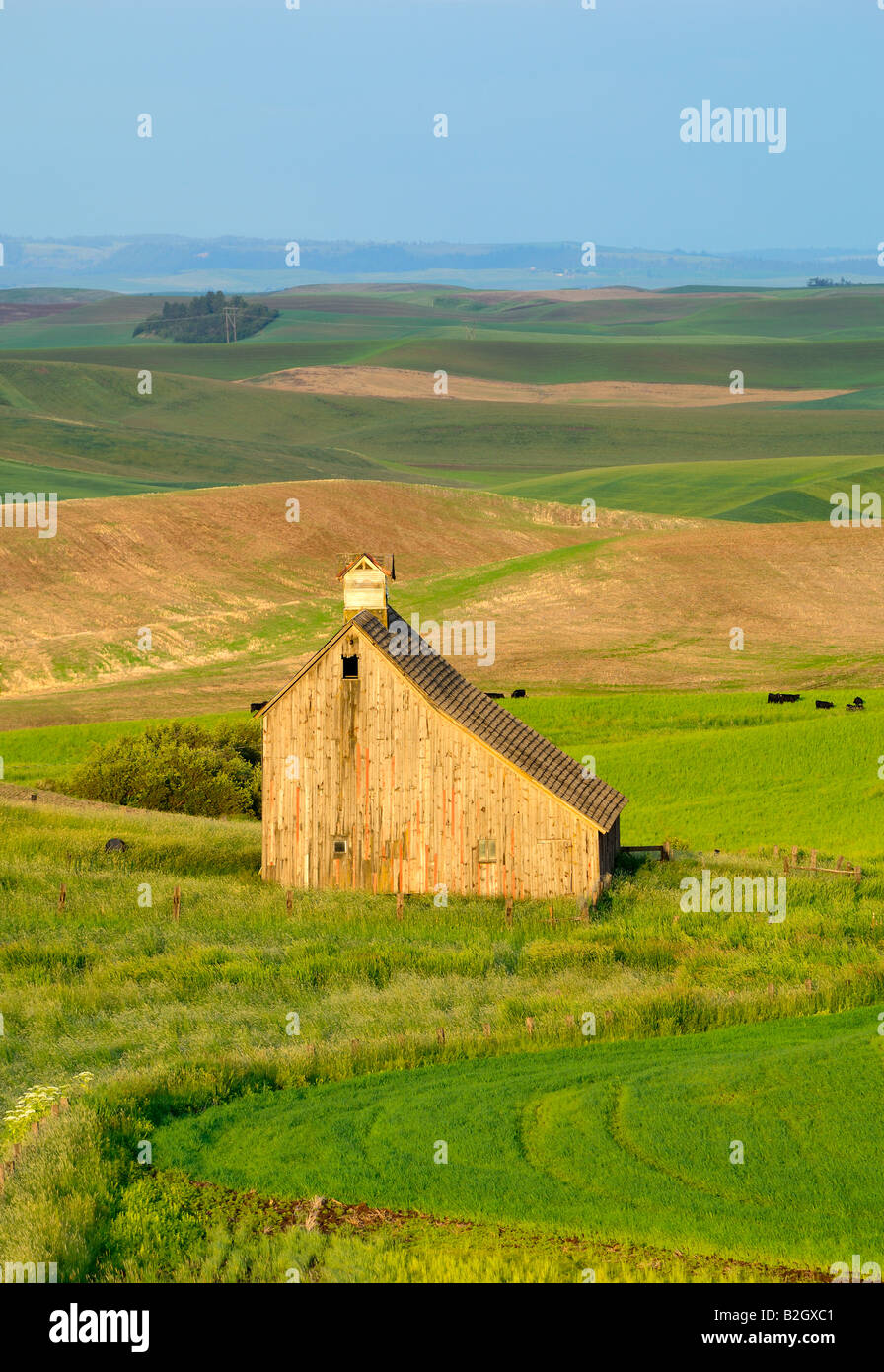 Palouse farms barns hi-res stock photography and images - Alamy