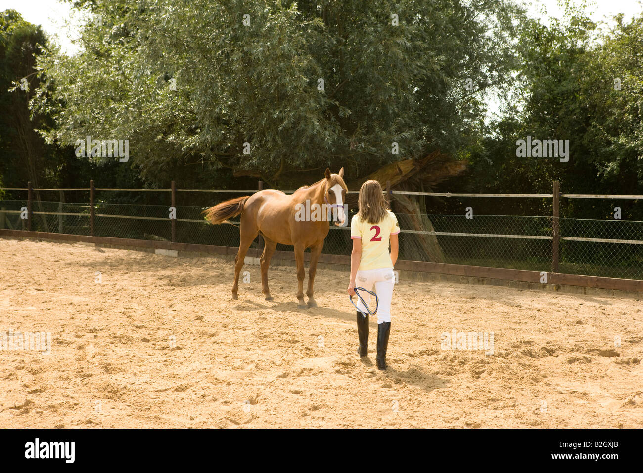 Chestnut walk hi-res stock photography and images - Alamy